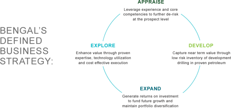 Opportunity Summary – Bengal Energy